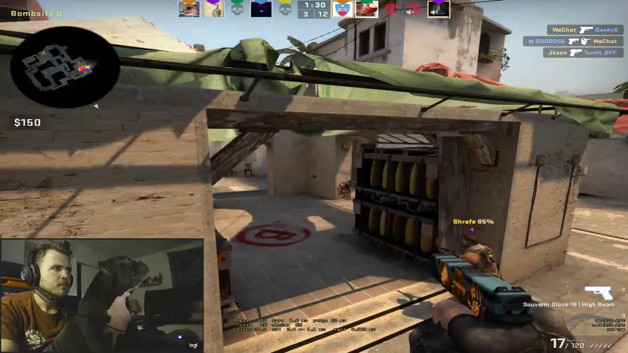 My dog is not the best CS go player but shes trying her best ok ...