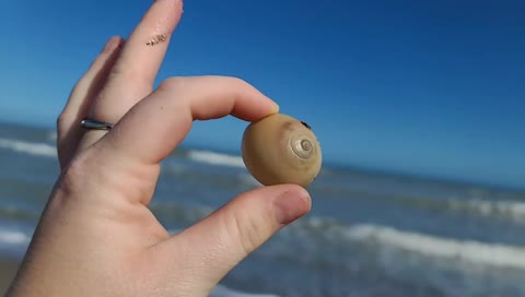 LivStixs's Top Clips